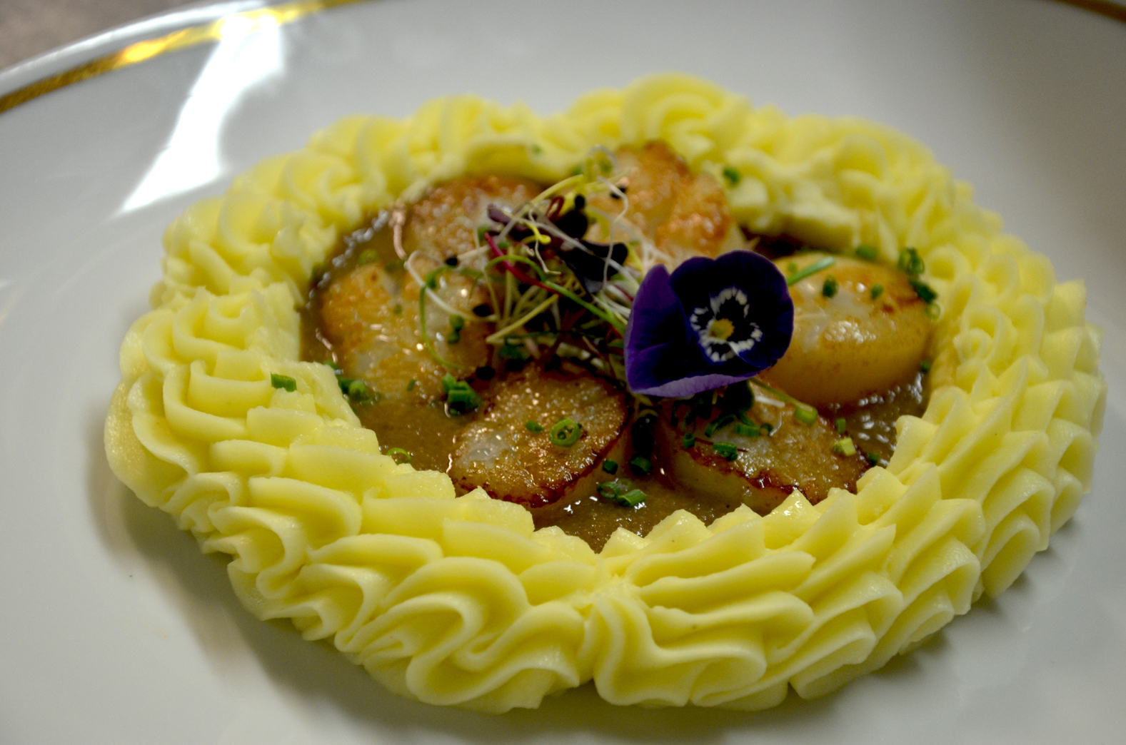 The Kitchen - Brasserie Mollard